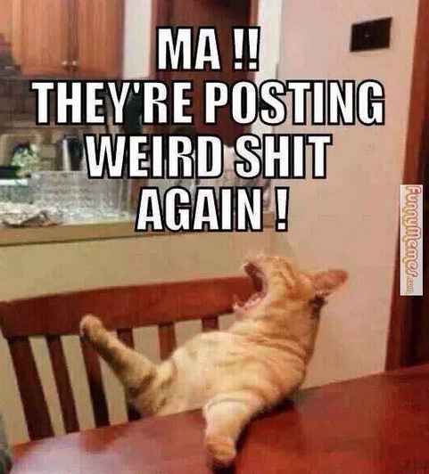 50 Freakin Hilarious Facebook Comment Pictures (that Get CRAZY Likes)