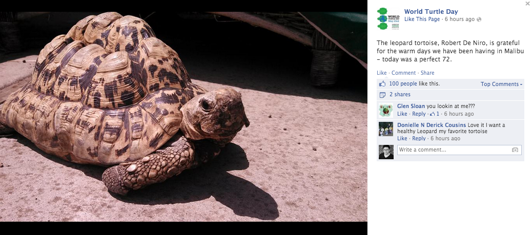 9 Unusual Facebook Pages You Never Thought You'd LIKE (but Should)