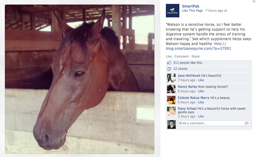 9 Unusual Facebook Pages You Never Thought You'd LIKE (but Should)