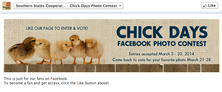 4 Ways to Seriously ROCK Your Next Facebook Contest