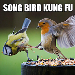 8 Odd Pages that ALWAYS Find Cool Stuff to Post on Facebook