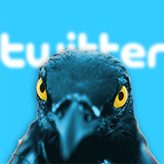 This Secret Twitter Hack Creates a Twitter List Out of Everyone Who ...