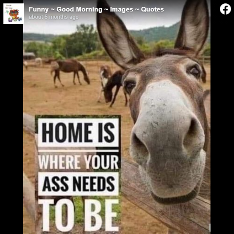 32 Viral Quote Images to Share on Your Facebook Page