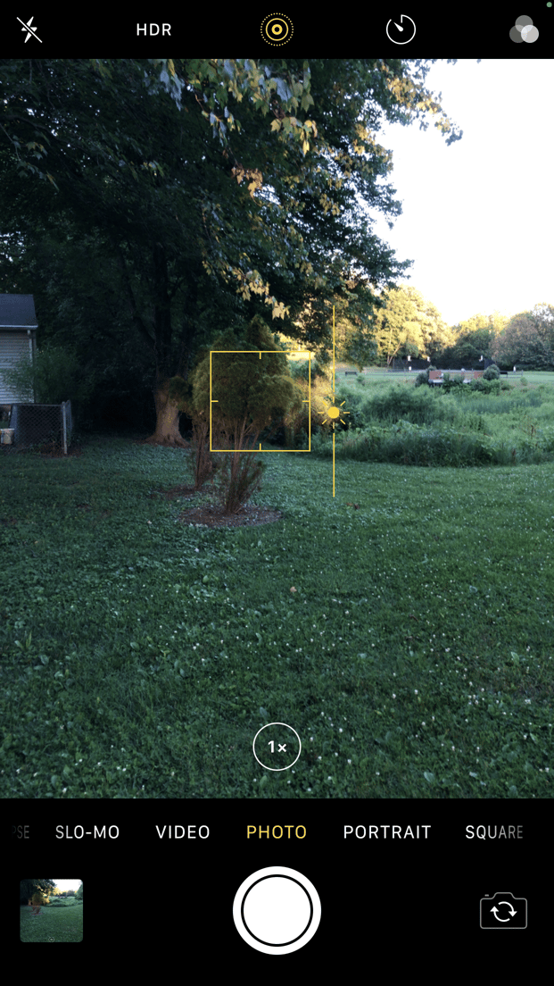 31 Tips on How to Take Good Instagram Photos