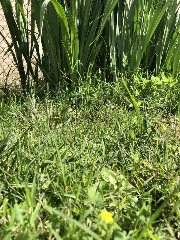 36 Tips on How to Take Good Instagram Photos