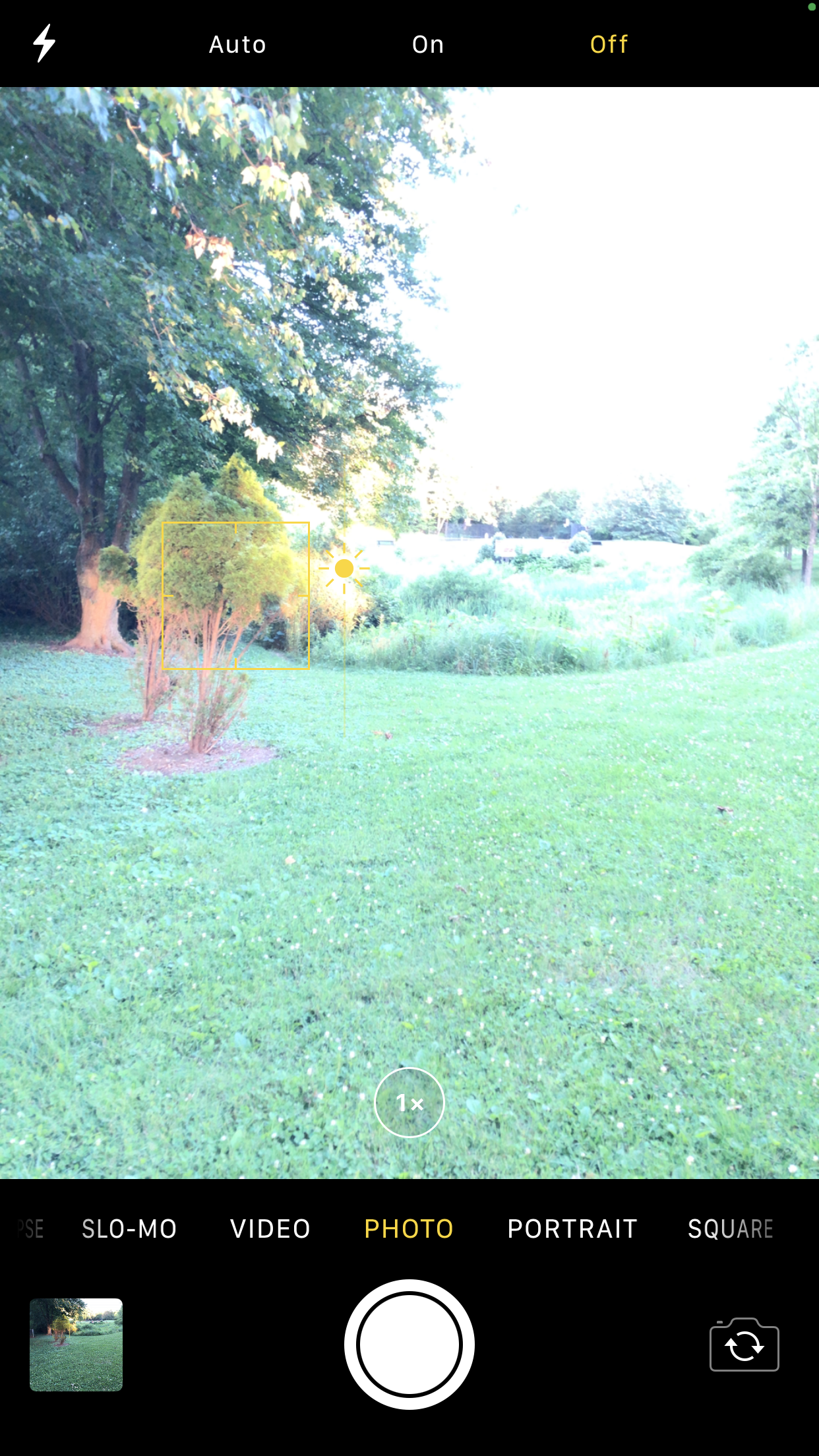 31 Tips on How to Take Good Instagram Photos