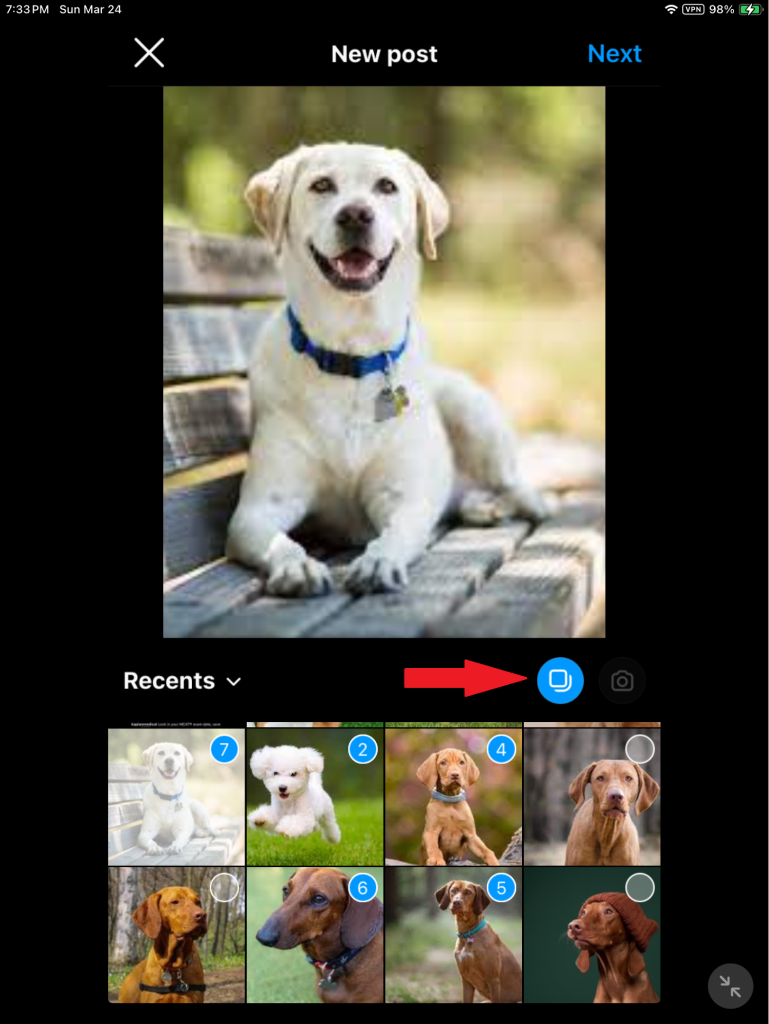 How to Make Instagram Carousels (that SPIKE Your Likes)