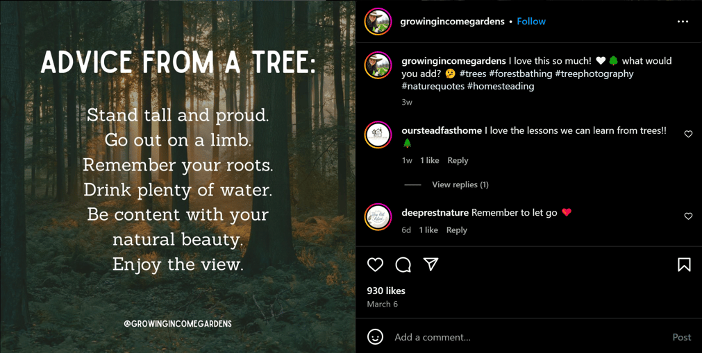 165 Quotes for Instagram Posts (+ Best Quotes Tool)