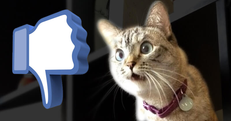 Holy Cats Facebook is Finally adding a DISLIKE Button! (Kinda)